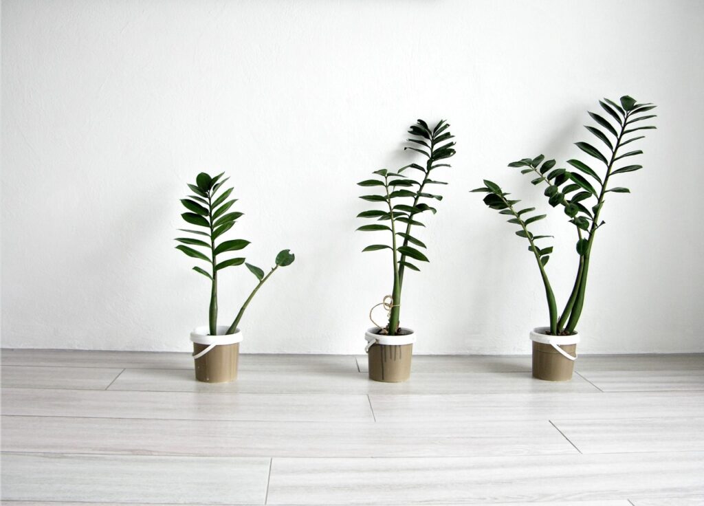 DIY Wall Base Without Baseboards - Easy DIY Home Repairs